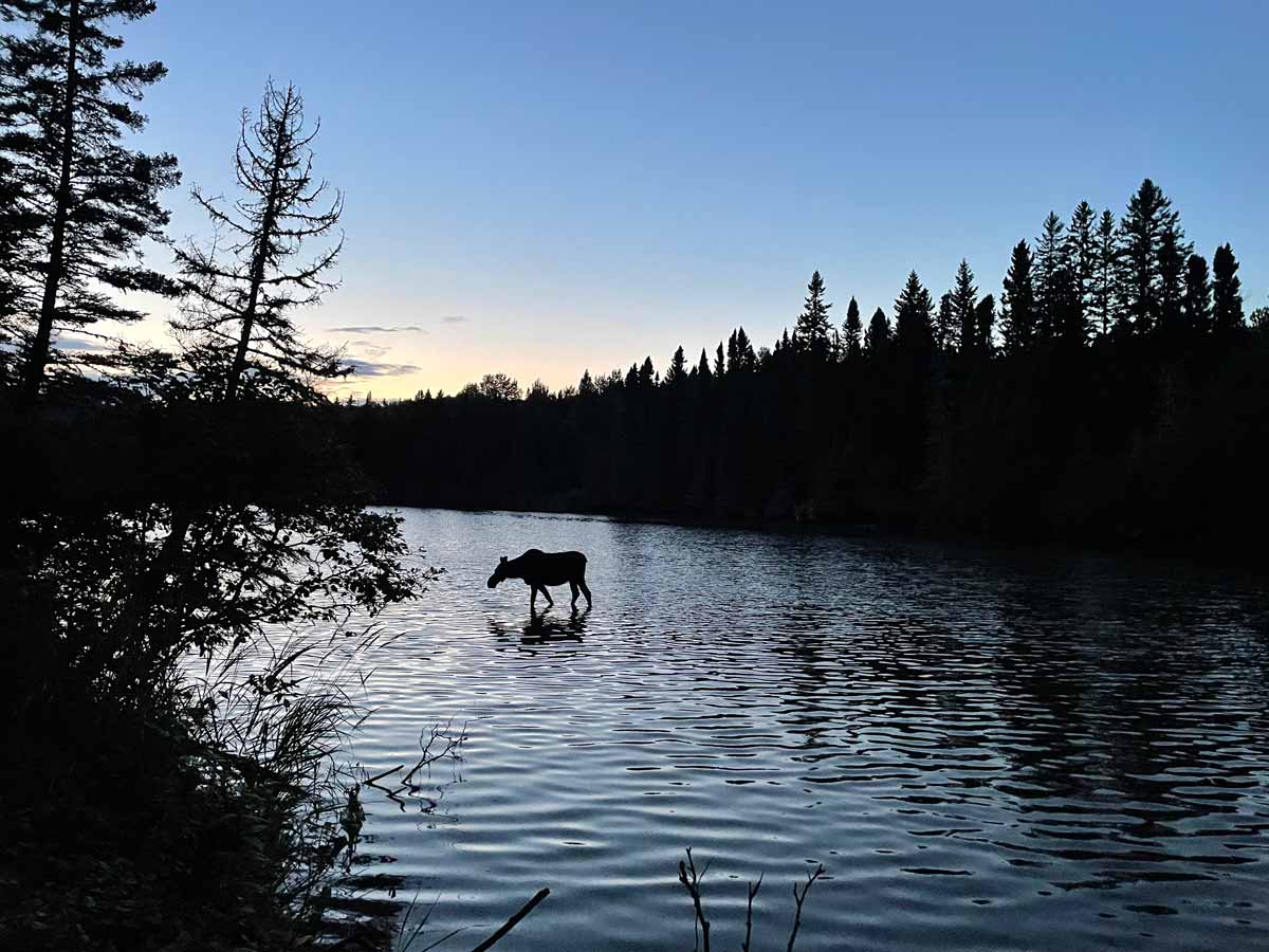 13 BEST Midwest National Parks & NPS Sites